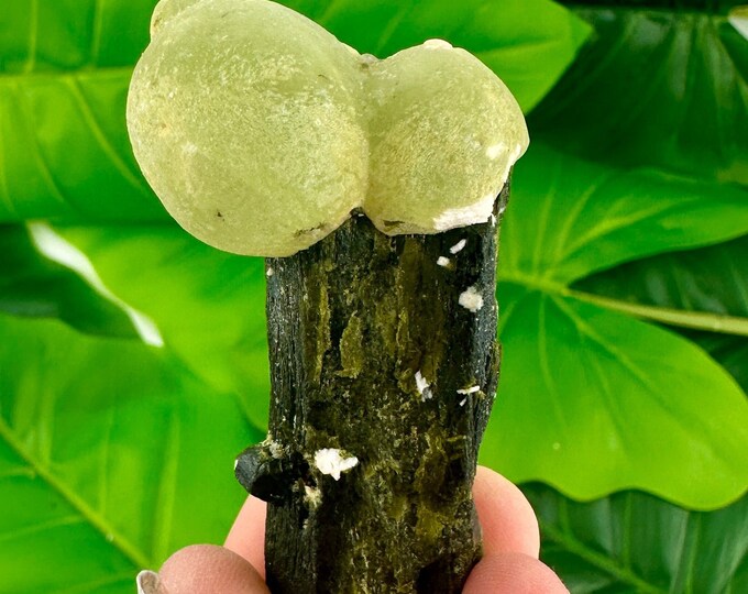 Botryoidal Green Prehnite on Epidote From Malie , Natural Mineral ...