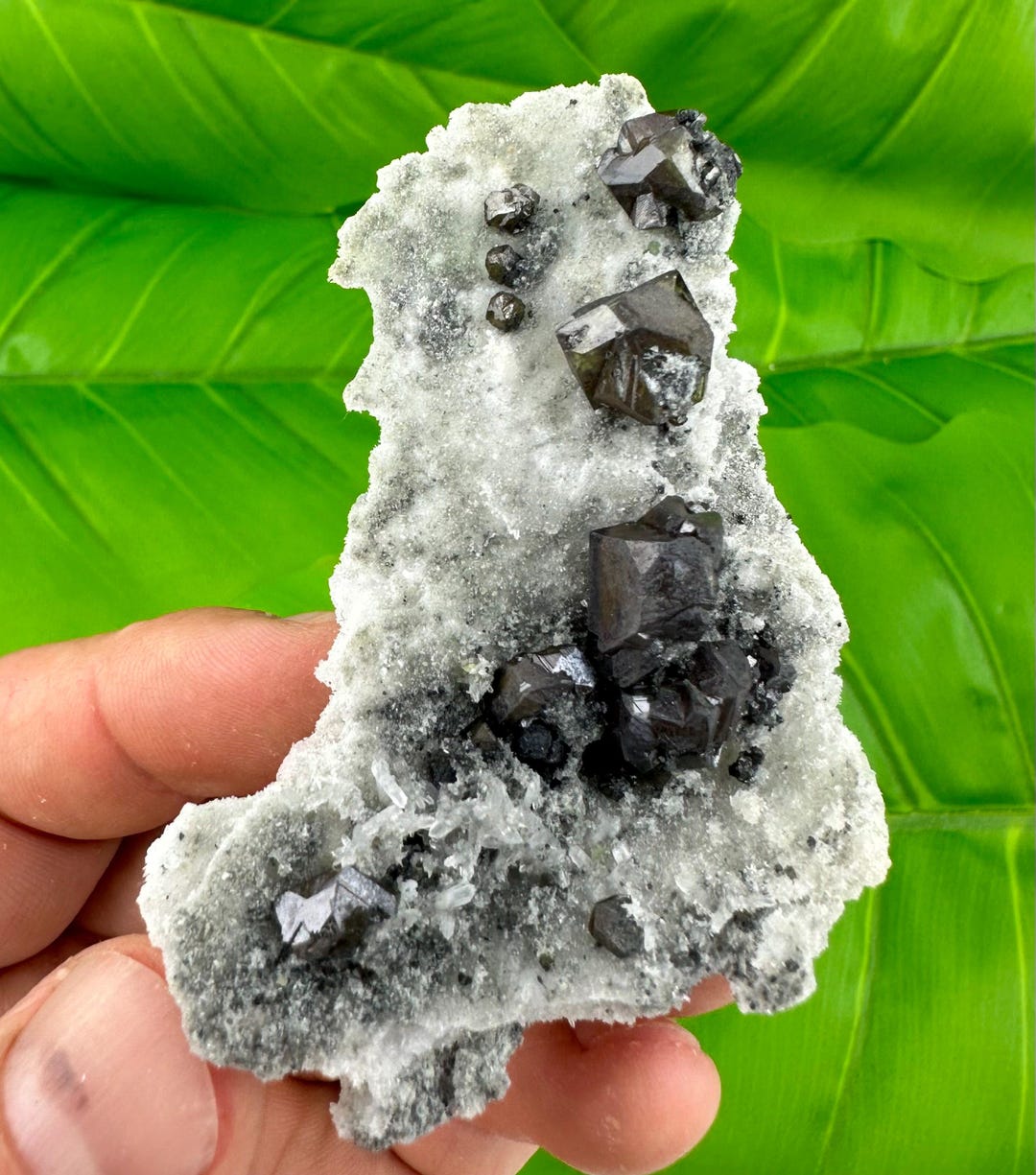 Beautiful Gem Sphalerite Var. Cleiophane on Quartz From 9th September ...