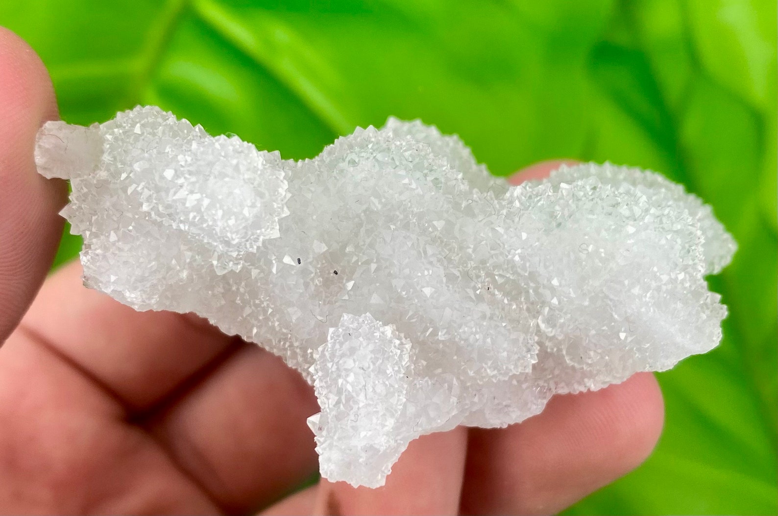 Sugar Quartz, Cactus Quartz From Krushev Dol Mine, Madan, Bulgaria ...