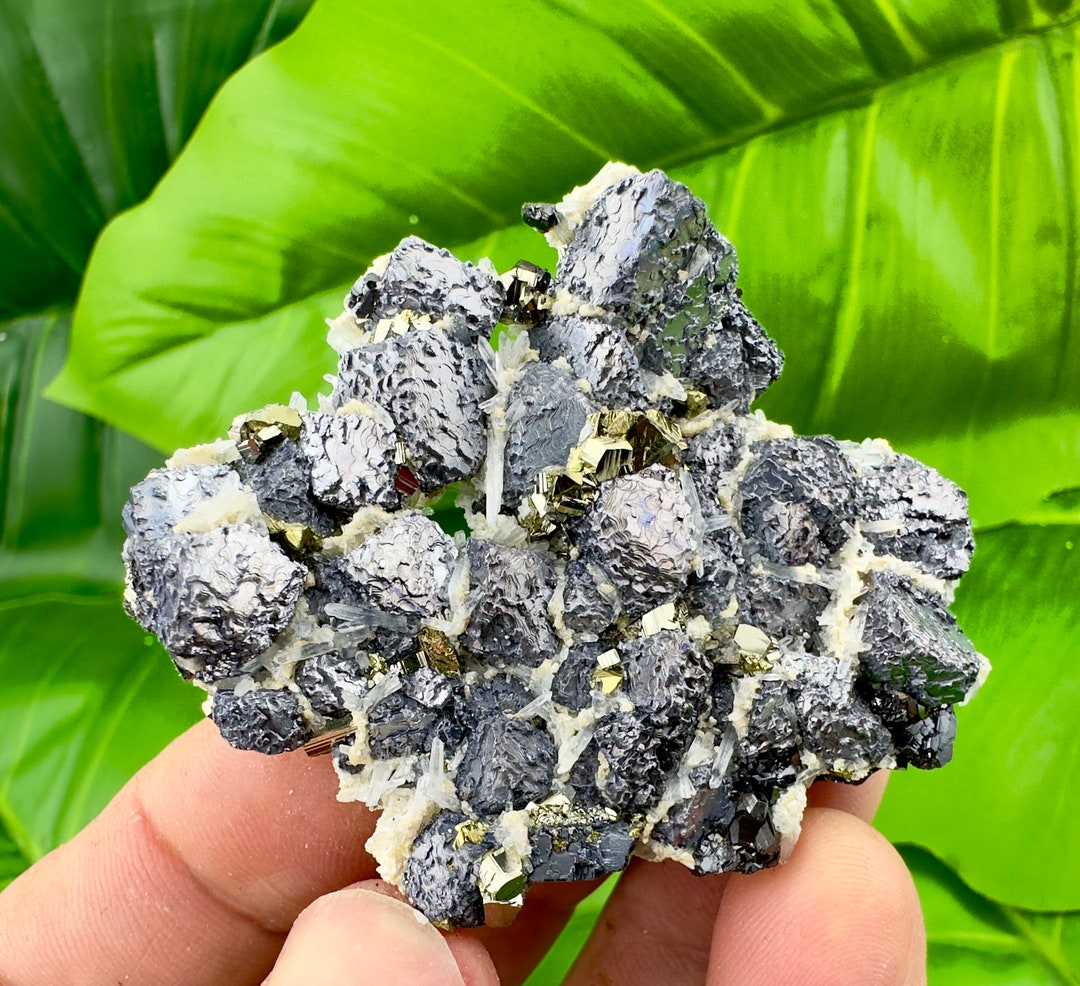 Rare Morphology Galena With Pyrite, Chalcopyrite and Quartz From ...