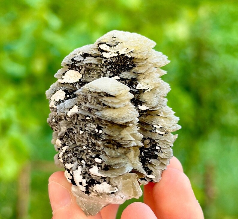 Aesthetic Two Generations Calcite From Drujba Mine, Laki, Bulgaria ...