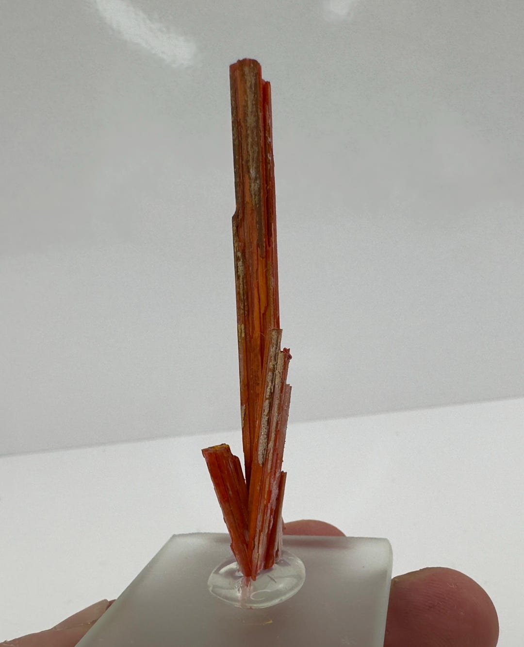 Amazing Crocoite From the Adelaide Mine, Tasmania , Australia , Red ...