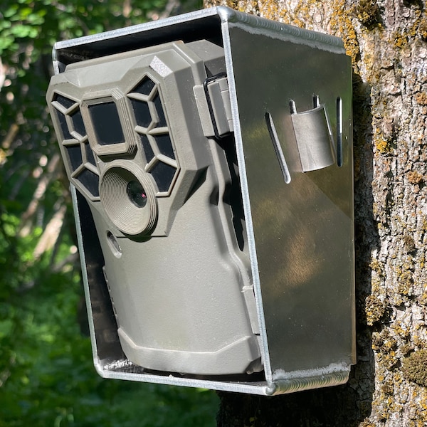 DEADONDISPLAYUSA - Etsy