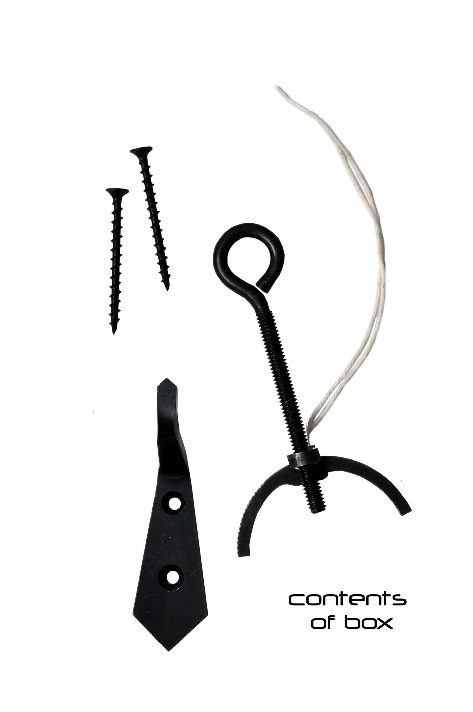 Large DEAD ON DISPLAY European Mount Skull Hanger Skull - Etsy