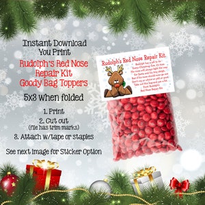 Christmas Reindeer Nose Repair Kit Bag Topper, Christmas Classroom ...