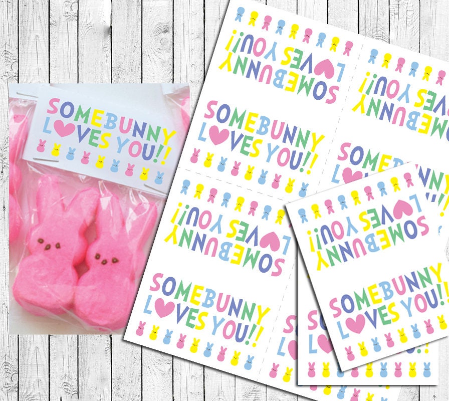 Easter Goody Bag Topper Easter Bunny Some BUNNY LOVES YOU Goody Bag ...