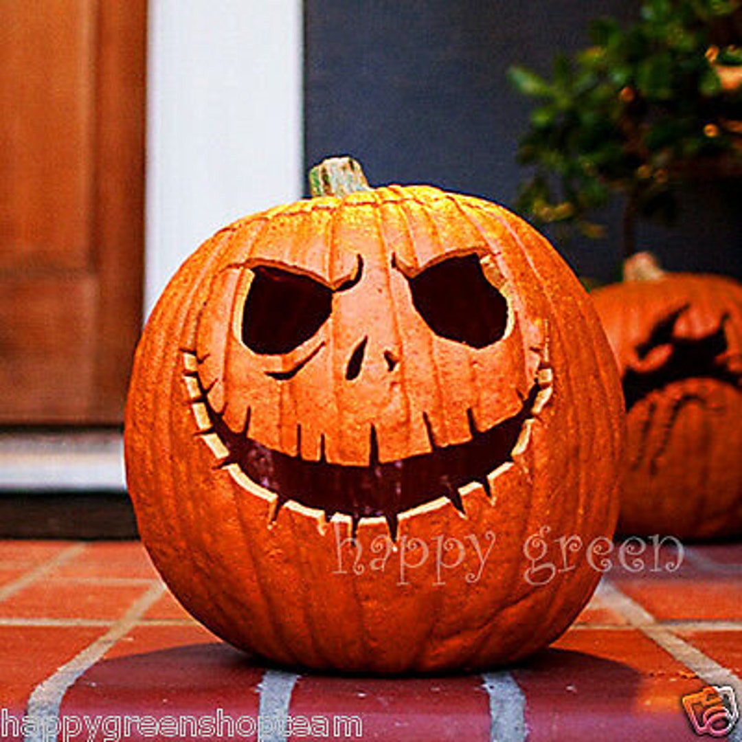 PUMPKIN - HALLOWEEN GOLD - 25 Seeds - Gourd - Cucurbita Pepo ...