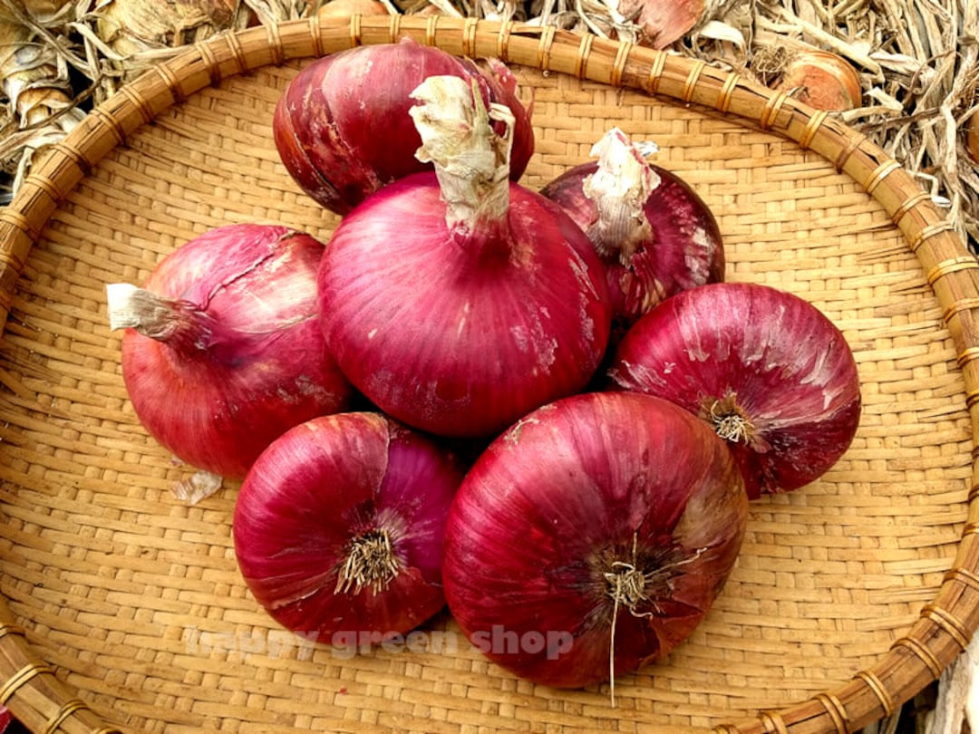 ROSSA DI TOSCANA - 300 Seeds - Red Onion Seeds - Vegetable Seeds - Home ...