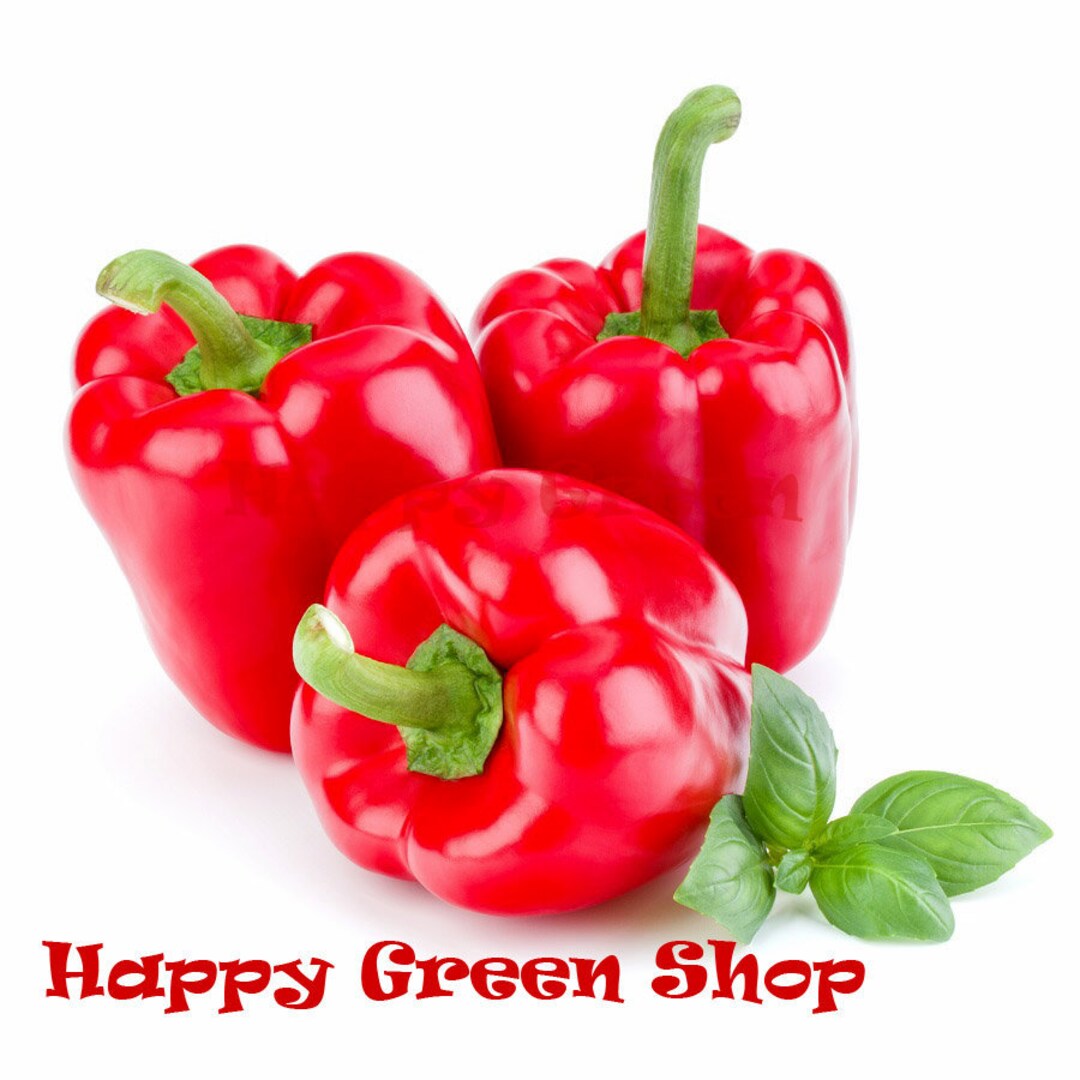 SWEET PEPPER - Granova - Red Bel Pepper 60 Seeds - VEGETABLE - Etsy