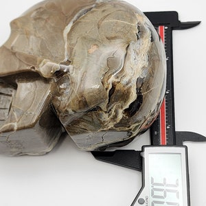 Valcano Agate Skull, Hand Carved, Large Size Agate Skull, Unique Skull ...