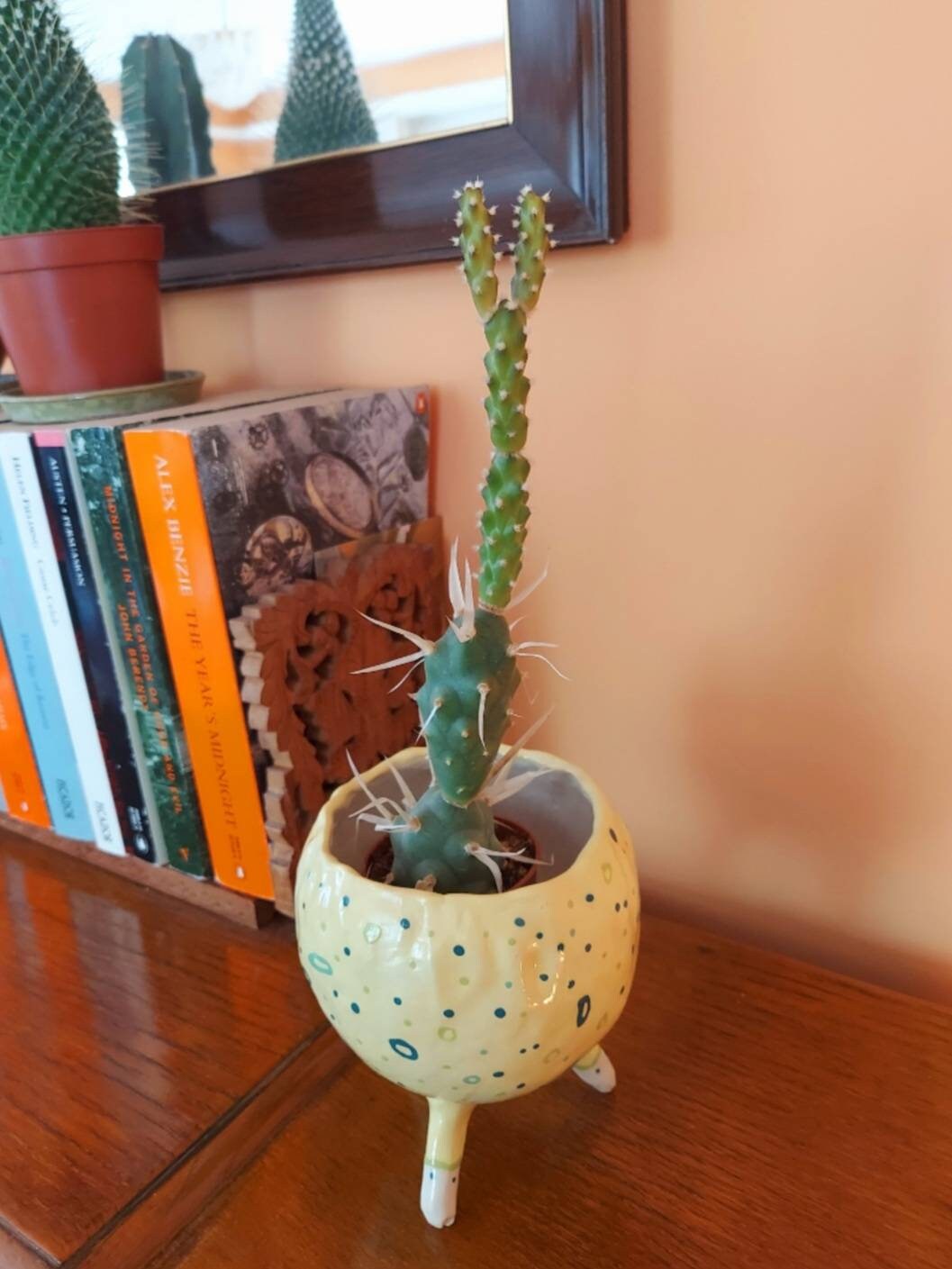 Special Edition! the Spotty Dotty Collection - Ceramic Planter ...