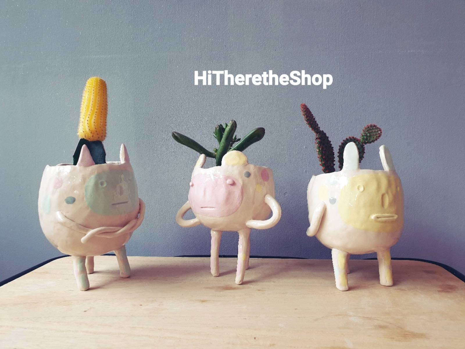 The Grumpopuff Collection - Handmade Ceramic Succulent Cactus Pot ...