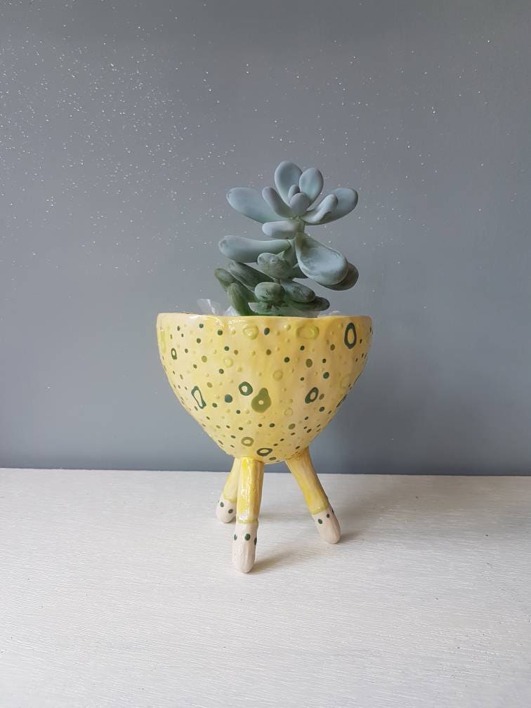 Special Edition! the Spotty Dotty Collection - Ceramic Planter ...