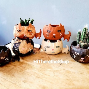 The Big Headed Cat. Ceramic Handmade Plant Pot. Succulent Pot. Cactus Pot. Grumpy Cat ...
