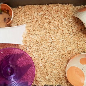 The Hamster Collection - Handmade Ceramic, Hamster House, Pet House ...