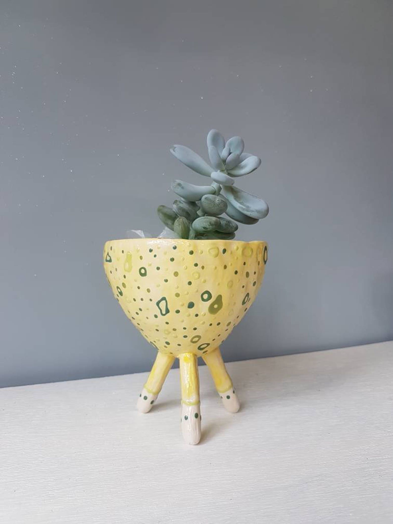 Special Edition! the Spotty Dotty Collection - Ceramic Planter ...