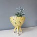 Special Edition! the Spotty Dotty Collection - Ceramic Planter ...