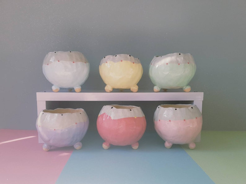 The Pastel Cauldron Collection Handmade succulent cactus | Etsy