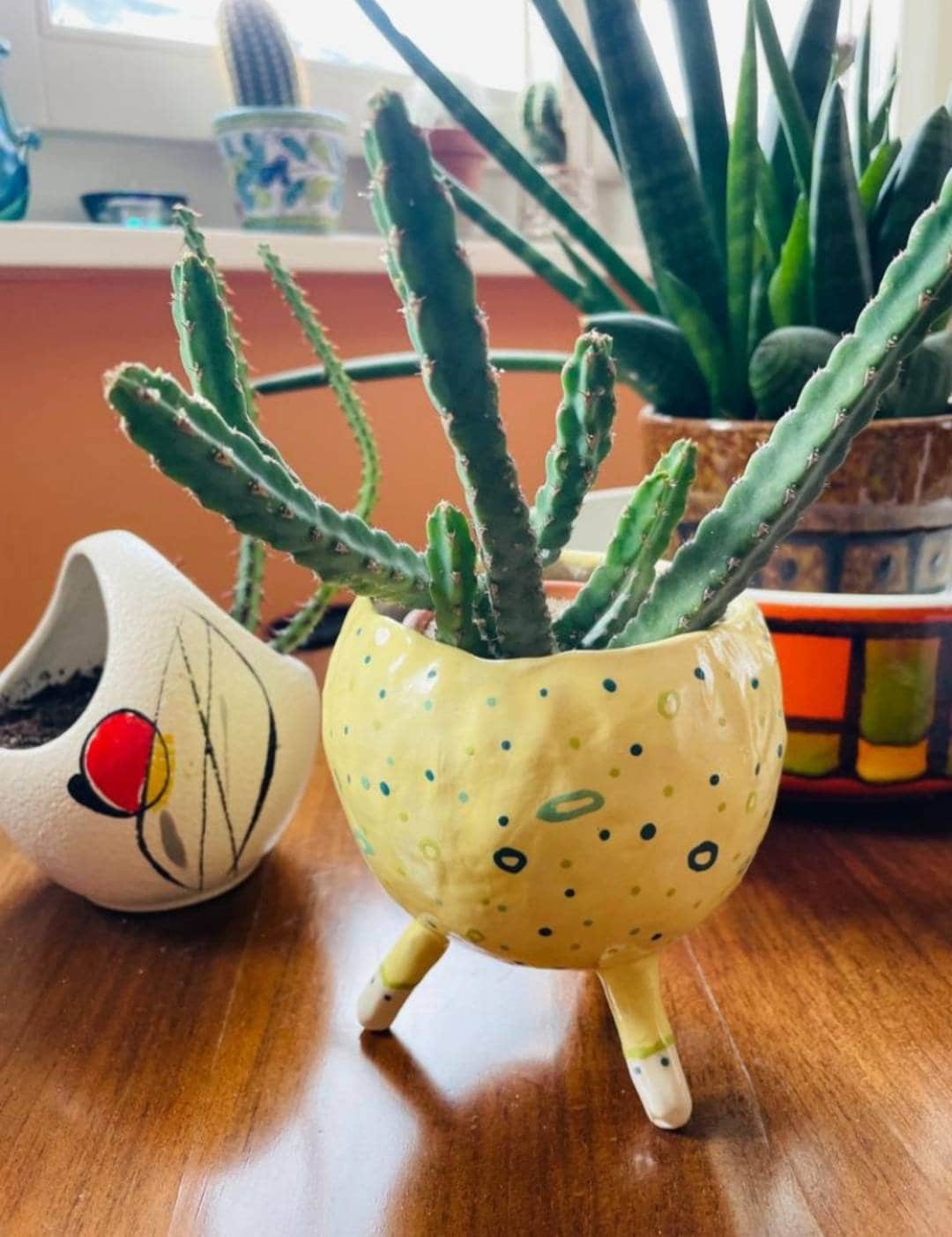 Special Edition! the Spotty Dotty Collection - Ceramic Planter ...
