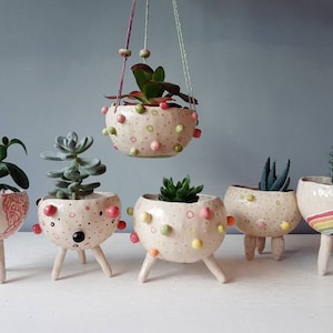 The Chinese 福 Good Fortune Pot - Ceramic Handmade, Planter, Succulent ...