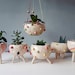 The Chinese 福 Good Fortune Pot - Ceramic Handmade, Planter, Succulent ...