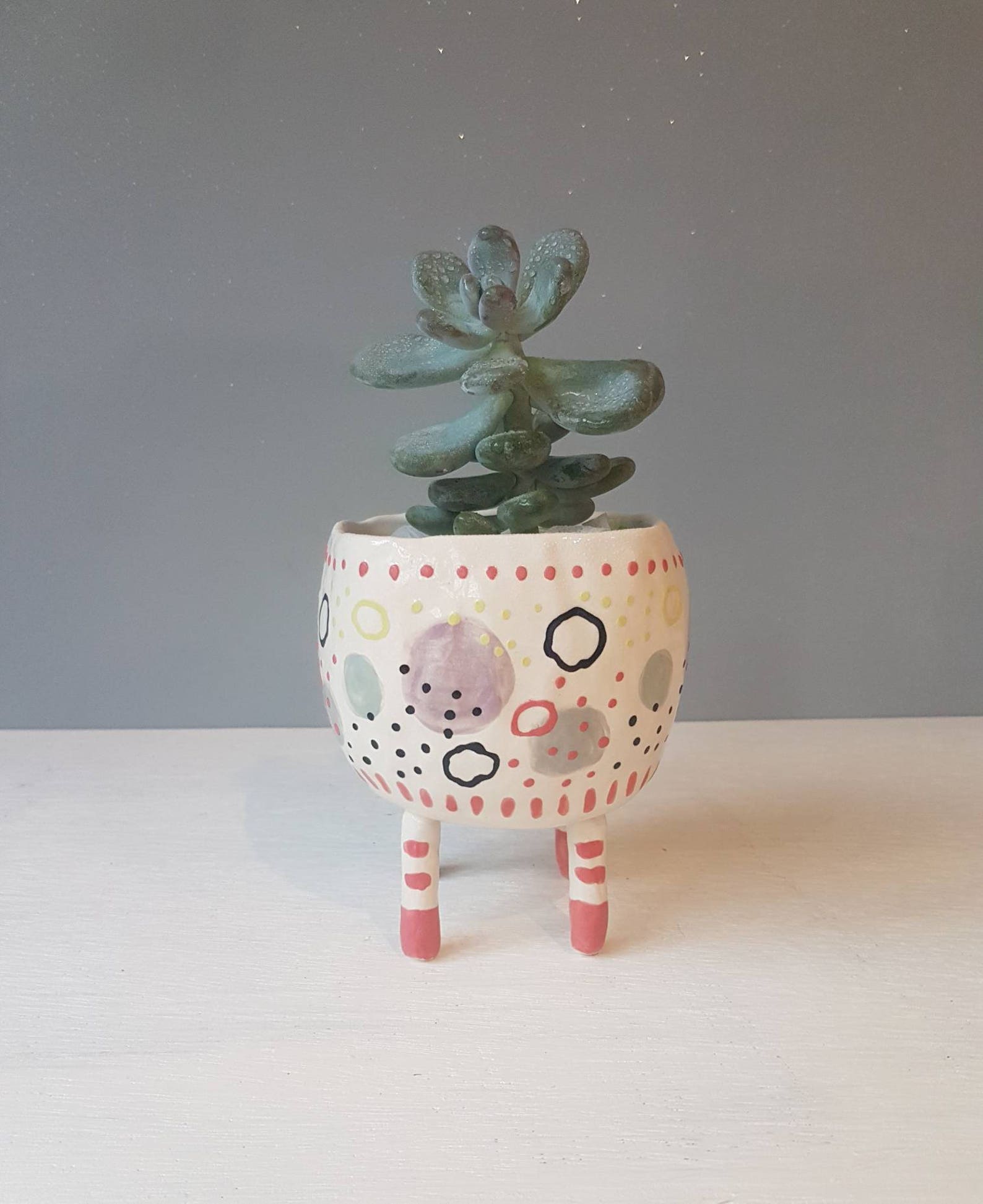 The Four Legs Collection - Ceramic, Succulent Pot, Cactus Pot, Plant ...