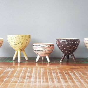 Special Edition! the Spotty Dotty Collection - Ceramic Planter ...