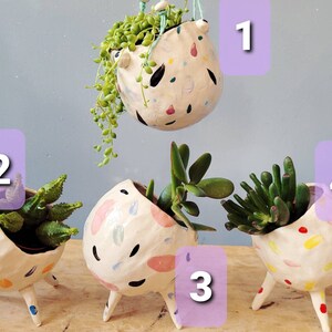 The Wonky Pot Collection 2! Handmade Ceramic Succulent Pot, Cactus Pot ...