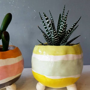 The Rainbow Candy Collection 2 - Handmade Ceramic Planter, Succulent ...