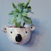 The Koala Bear Family Collection! Handmade Ceramic Hanging Plant Pot ...