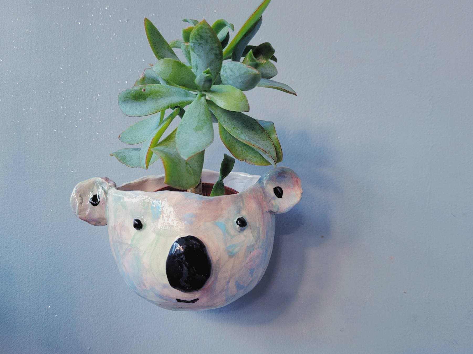The Koala Bear Family Collection! Handmade Ceramic Hanging Plant Pot ...
