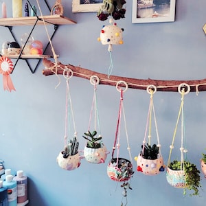 The Lush Pots Collection - Handmade Ceramic Hanging Planters, Succulent ...