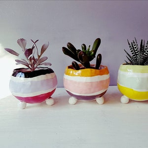 The Rainbow Candy Collection 2 - Handmade Ceramic Planter, Succulent ...
