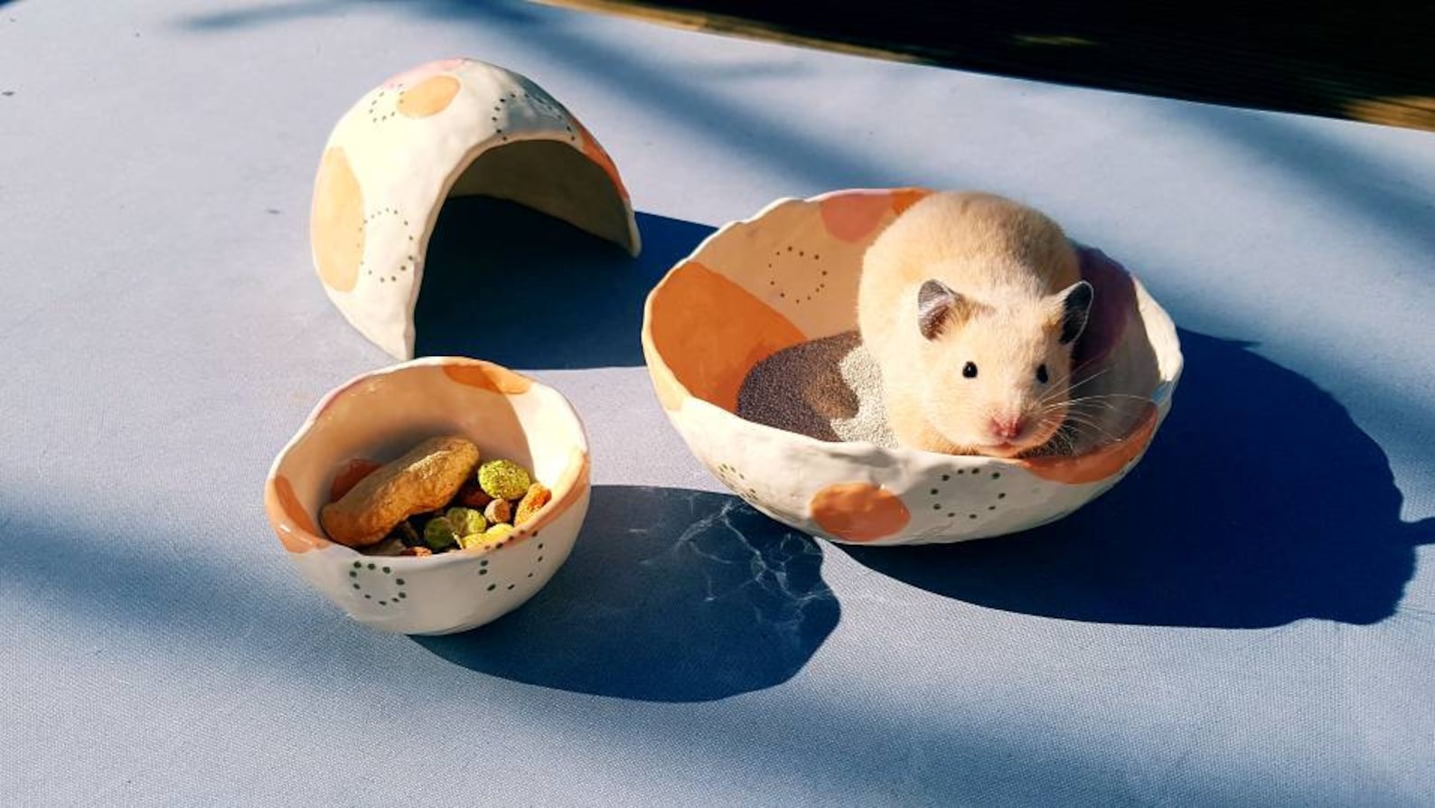 The Hamster Collection - Handmade Ceramic, Hamster House, Pet House ...