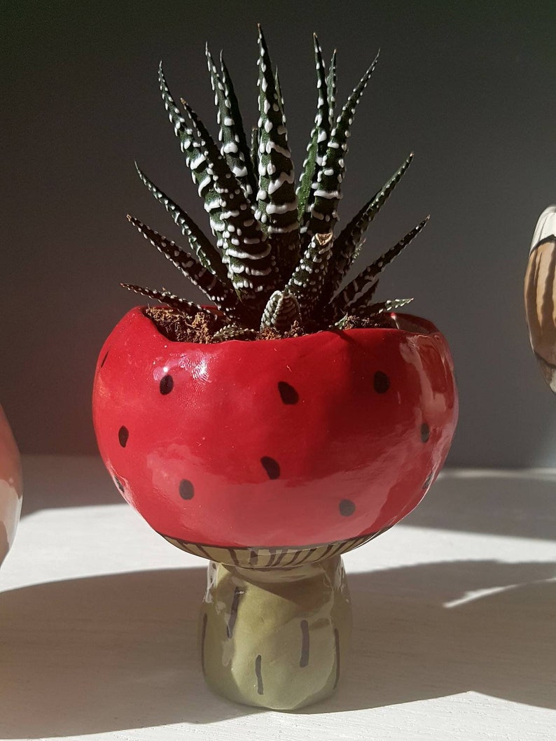 The Cool Shrooms Collection - Handmade Ceramic, Hanging Planter ...