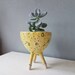 Special Edition! the Spotty Dotty Collection - Ceramic Planter ...