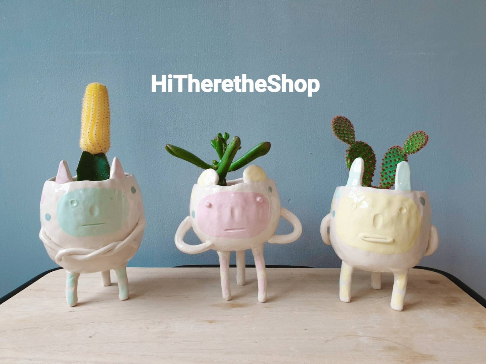 The Grumpopuff Collection - Handmade Ceramic Succulent Cactus Pot ...