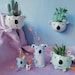 The Koala Bear Family Collection! Handmade Ceramic Hanging Plant Pot ...