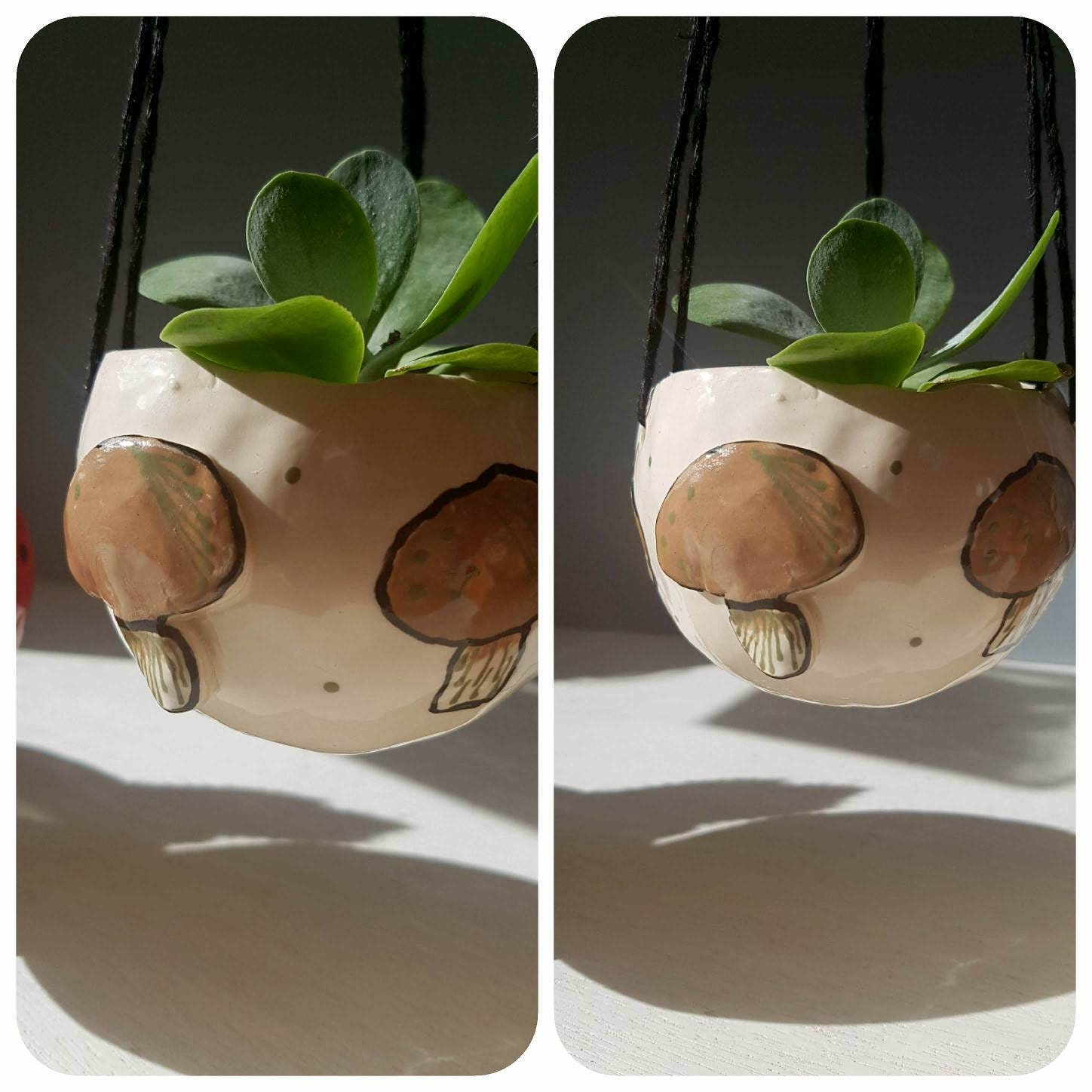 The Cool Shrooms Collection - Handmade Ceramic, Hanging Planter ...
