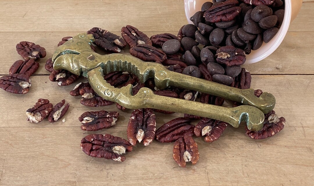 Brass Nut Cracker, Solid Brass Parrot Nut Cracker - Etsy