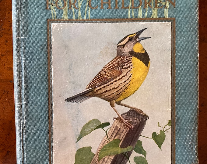 Antique 1919 First Edition Burgess Bird Book for Children Illustrated ...