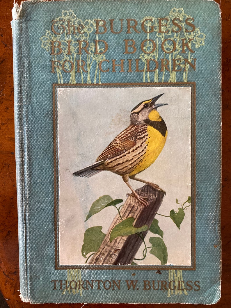 Antique 1919 First Edition Burgess Bird Book for Children - Etsy