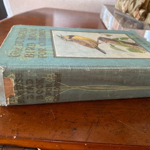 Antique 1919 First Edition Burgess Bird Book for Children - Etsy