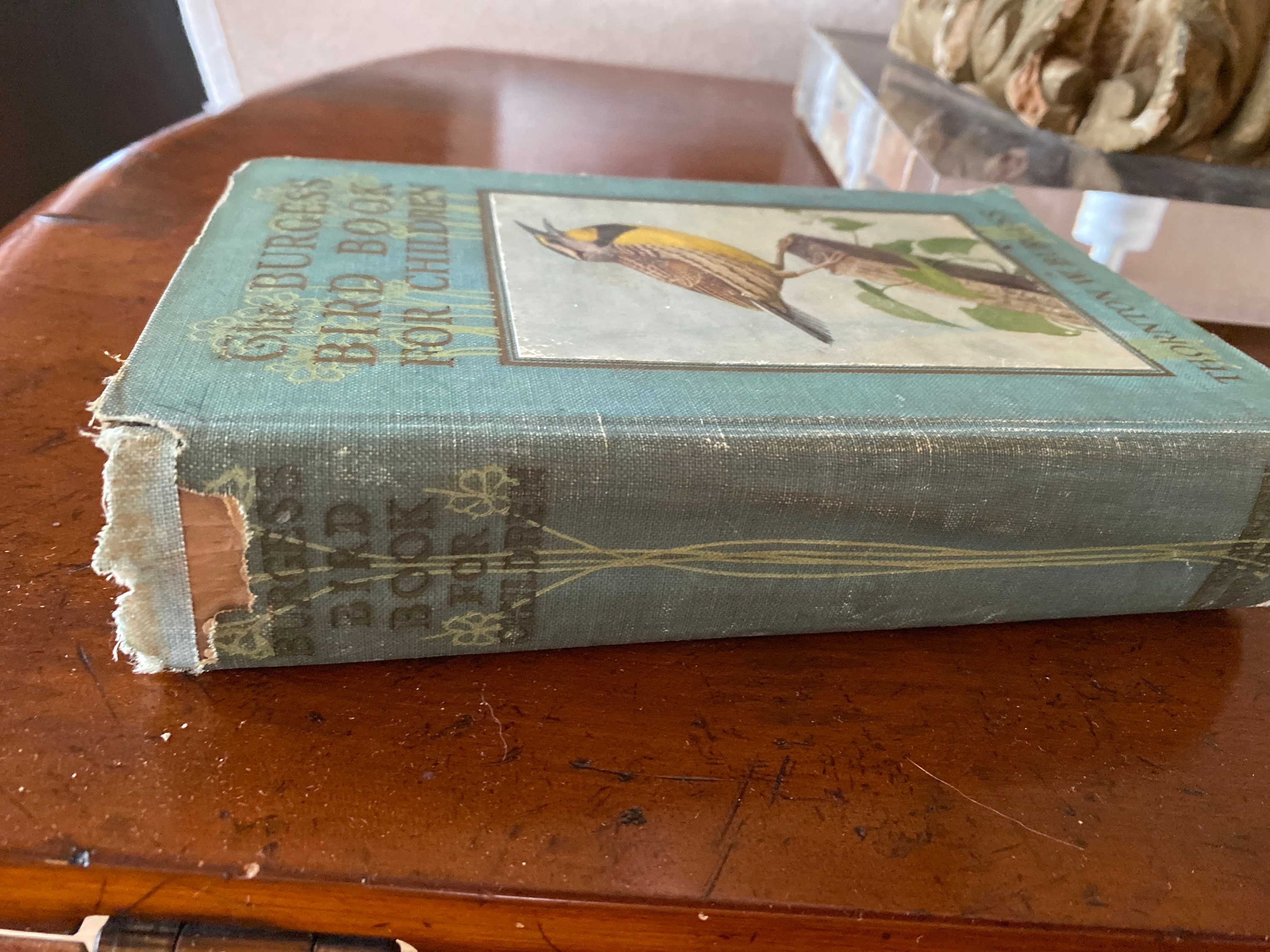 Antique 1919 First Edition Burgess Bird Book for Children - Etsy