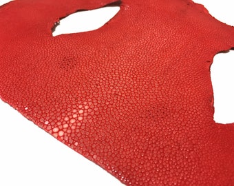 Stingray Skin | Etsy