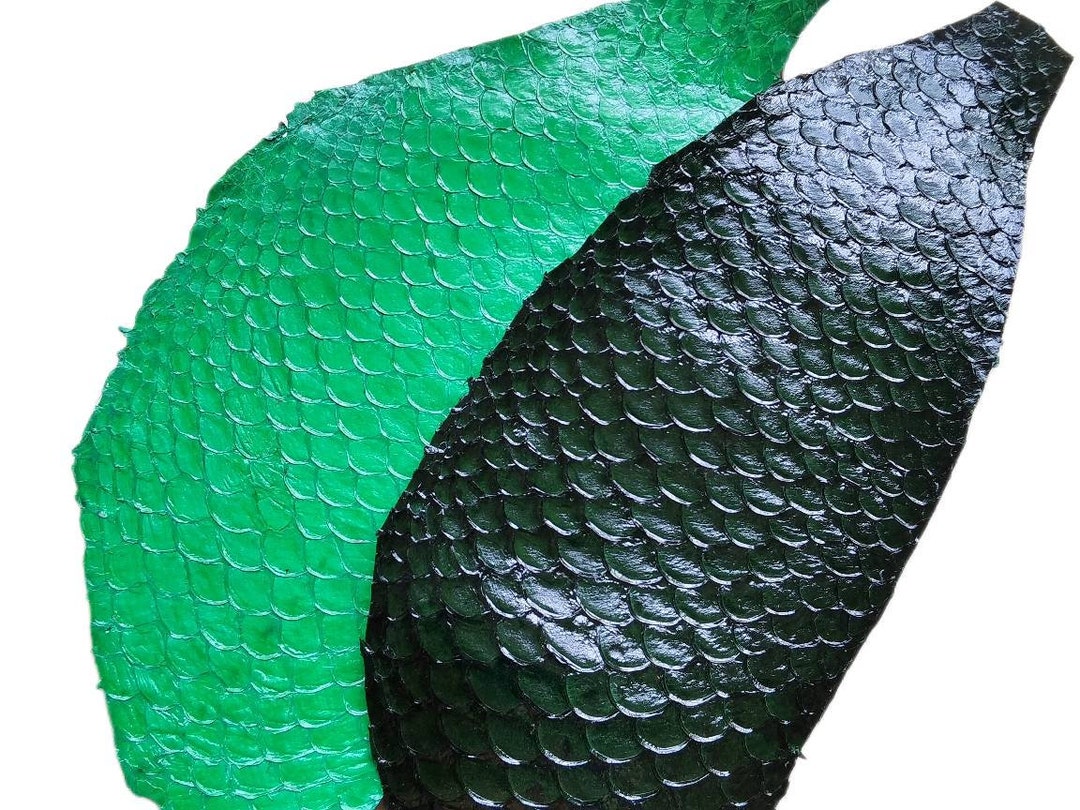 Glossy Green Tilapia Fish Skin Leather Piece Genuine Whole Hide - Etsy
