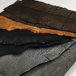 MINI Genuine TOAD Bullfrog Skin Piece Leather Craft Supply Cutting ...