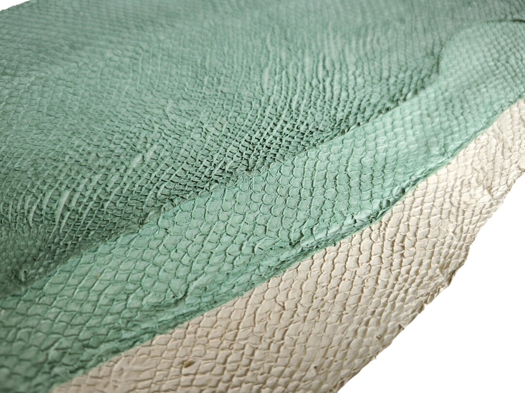 Green Beige Salmon Fish Skin Leather Piece Genuine Whole Hide - Etsy