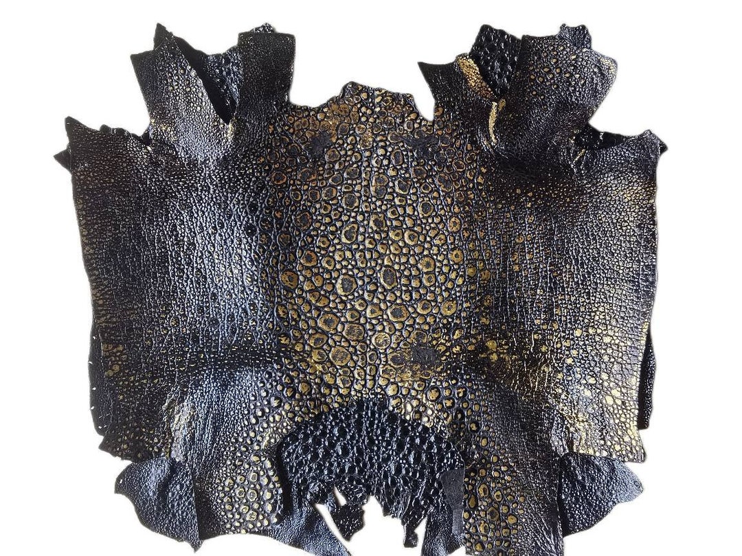 Black Gold Silver Genuine TOAD Bullfrog Skin Piece Leather - Etsy