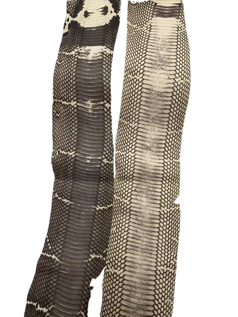 Natural Real Snake Skin Whole Hide Craft Supply - Etsy